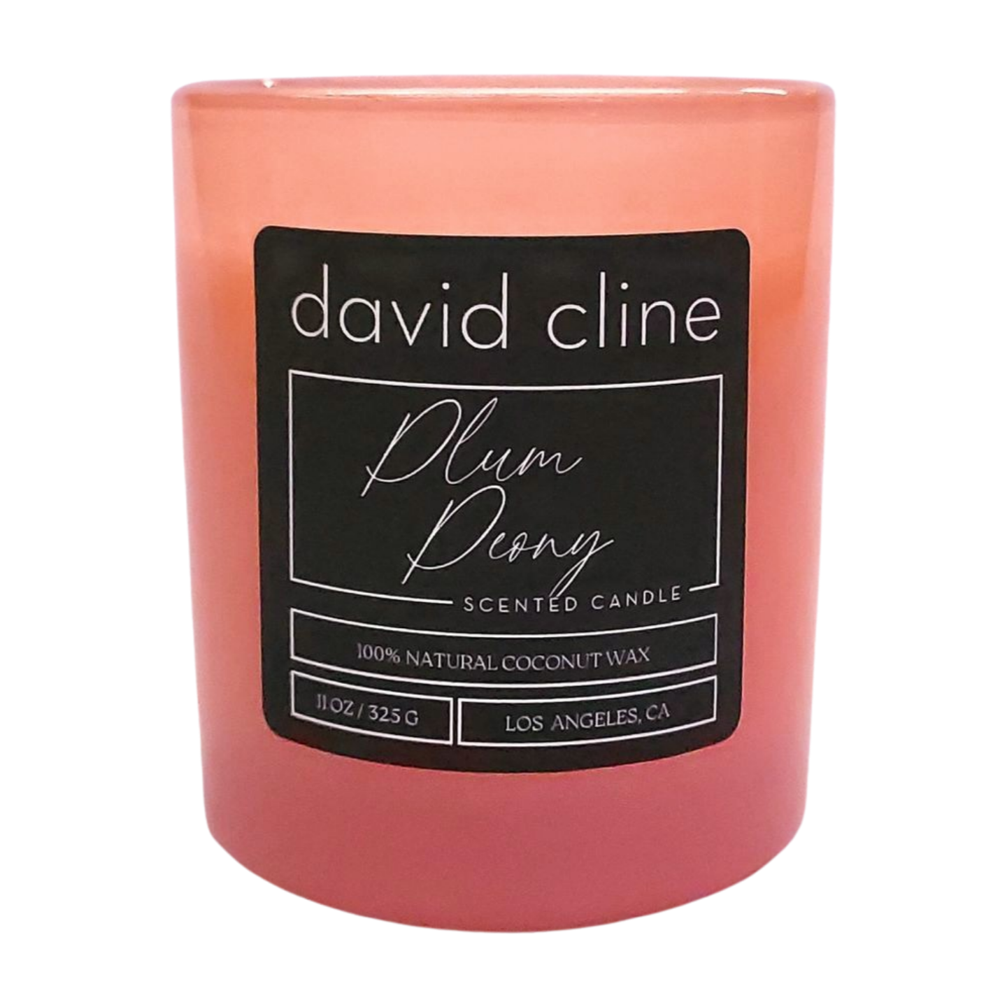 DAVID CLINE ONLINE: Womens Fashion Apparel Store Shop Boutique – David ...