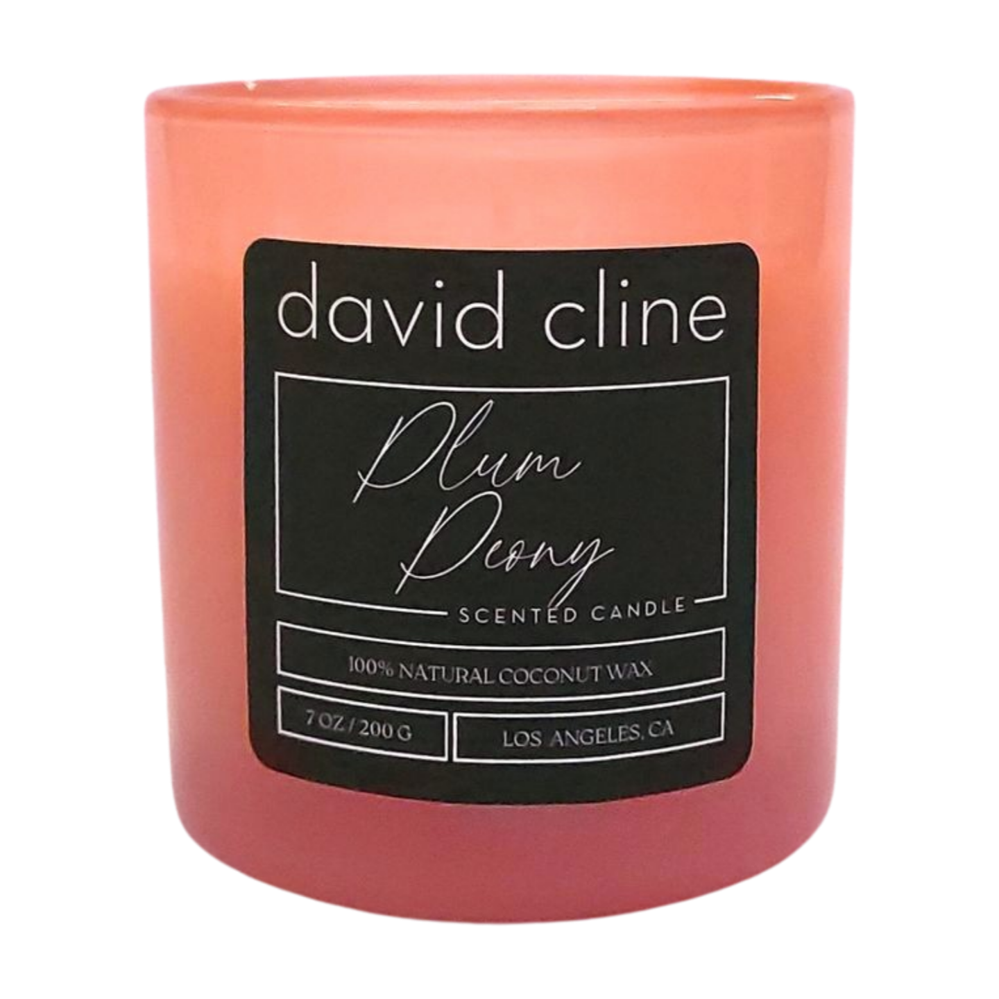 DAVID CLINE ONLINE: Womens Fashion Apparel Store Shop Boutique – David ...